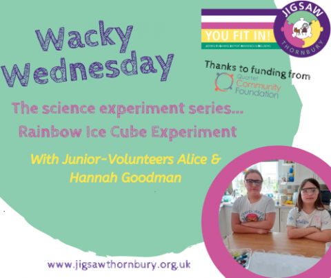 Virtual JIGSAW Wacky Wednesday – Rainbow Ice Cube Experiment | JIGSAW ...